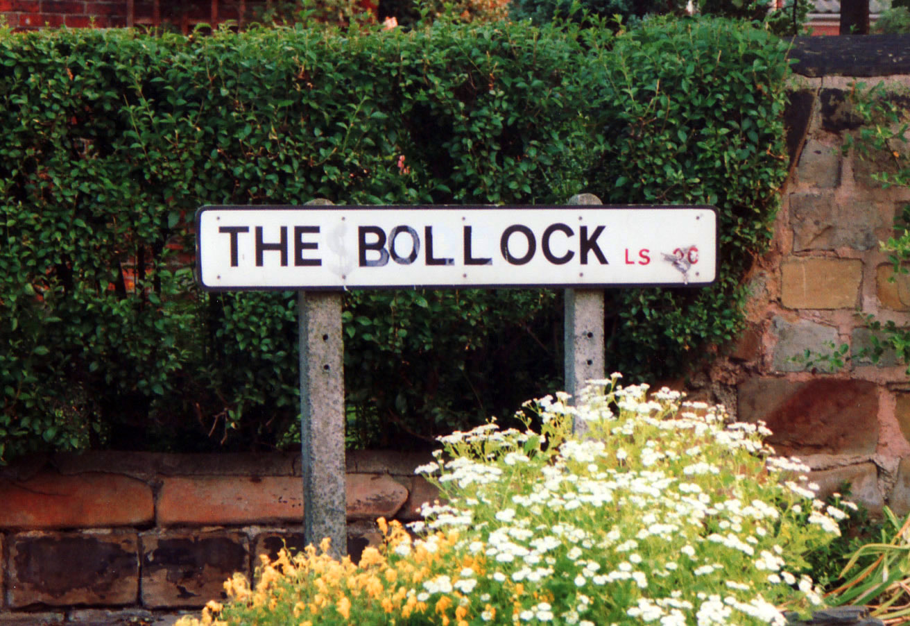 Bollock Sign – Steven Lovell
