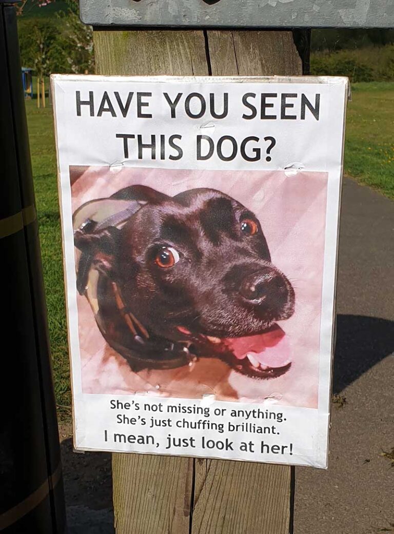 Dog Sign – Steven Lovell