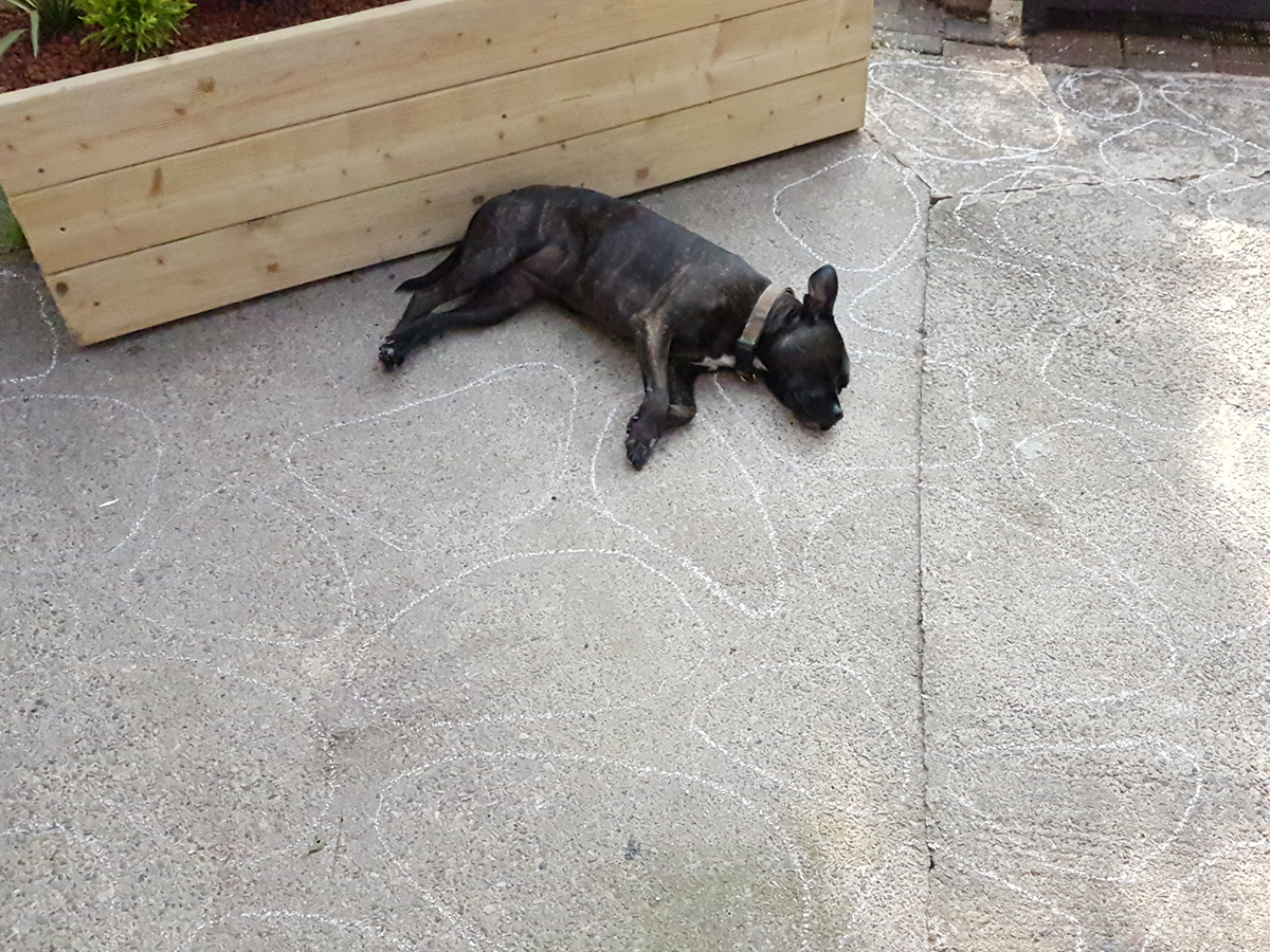 Greek Paving – Steven Lovell