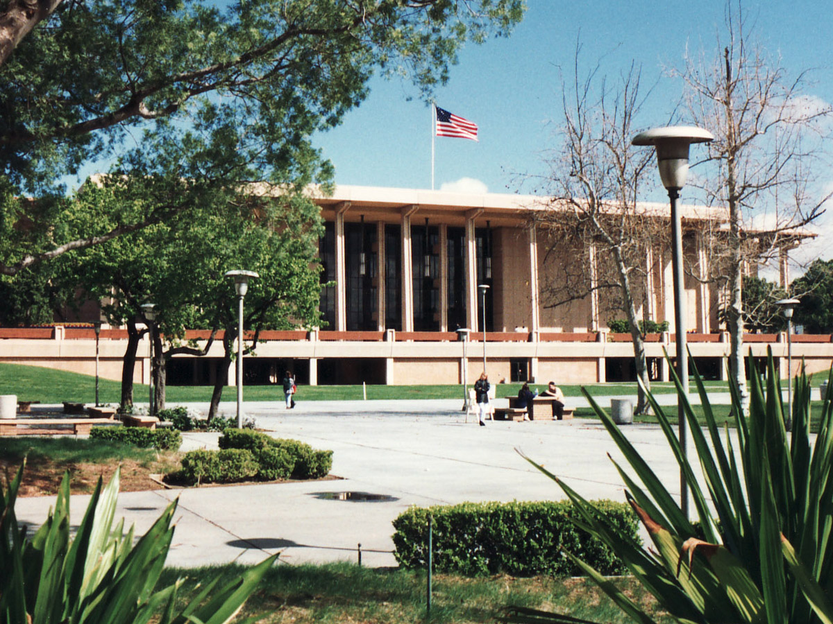 College Years – Steven Lovell