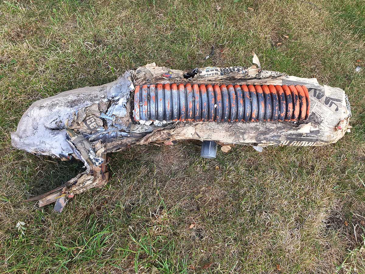 Alien Warrior – Steven Lovell