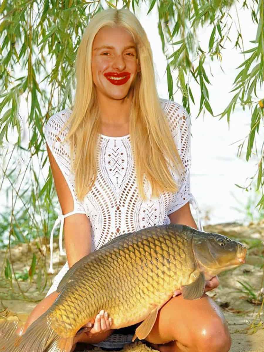 Digital Work – Steven Lovell